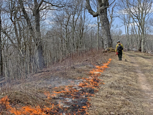 Monongahela National Forest Prepares For Prescribed Burn Season - West ...